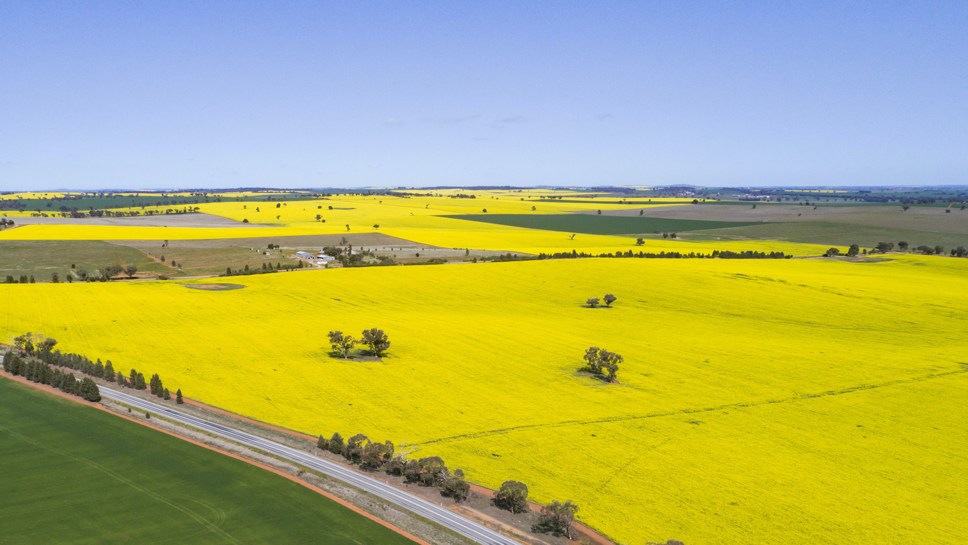 Springtime in the NSW Riverina Luxury Tour | Bill Peach Journeys