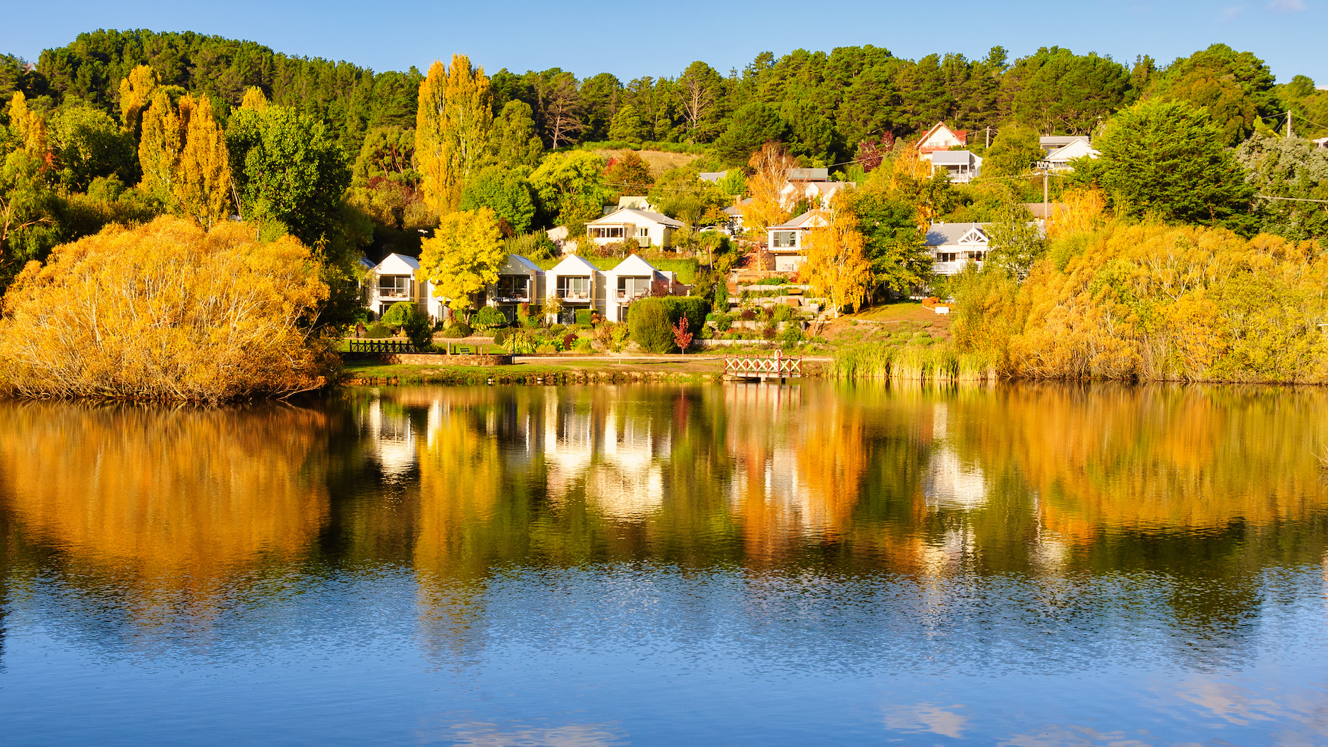 Daylesford’s Autumn Splendour - 2027 Tour - Bill Peach Journeys