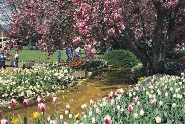 Floriade & Tulip Time - 2026 Tour - Bill Peach Journeys