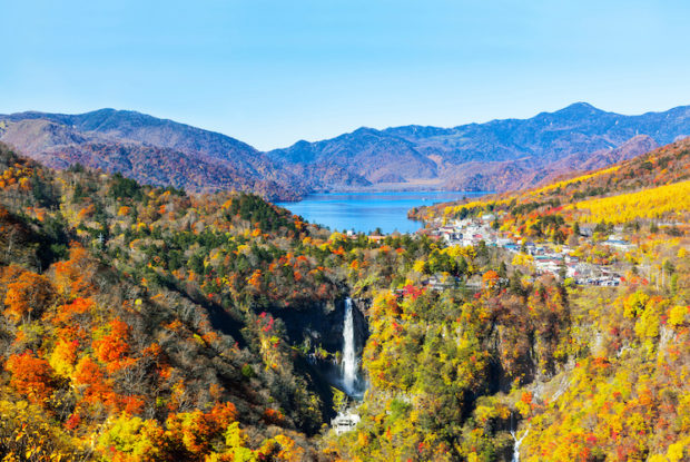 Essence of Japan - Tours | Bill Peach Journeys