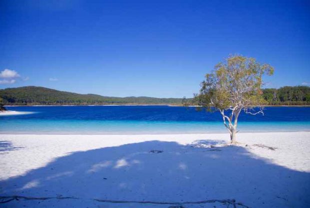 Yuletide on the Sunshine & Fraser Coasts Tour | Bill Peach Journeys